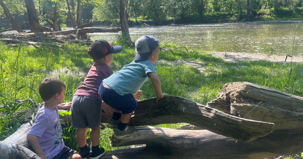 Fun Things to Do in Toledo With Kids – Jupmode